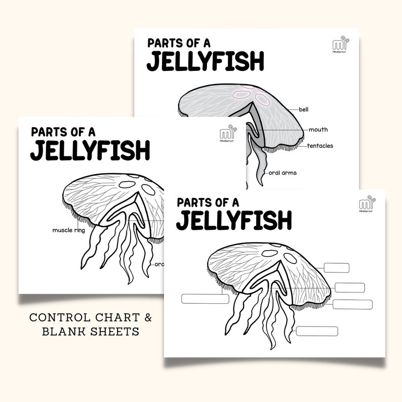 Montessori Zoology INVERTEBRATES Control Chart Blackline Masters ...