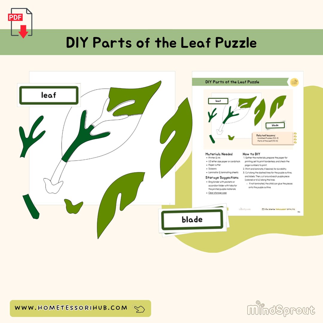 DIY Parts of the Leaf Puzzle Botany Montessori Printable Material - Etsy