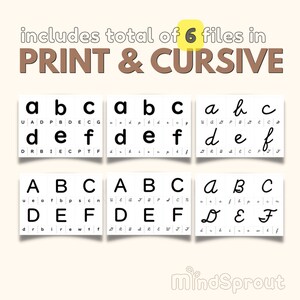 Alphabet Letter Recognition Lowercase Uppercase Print Cursive Clip Card ...