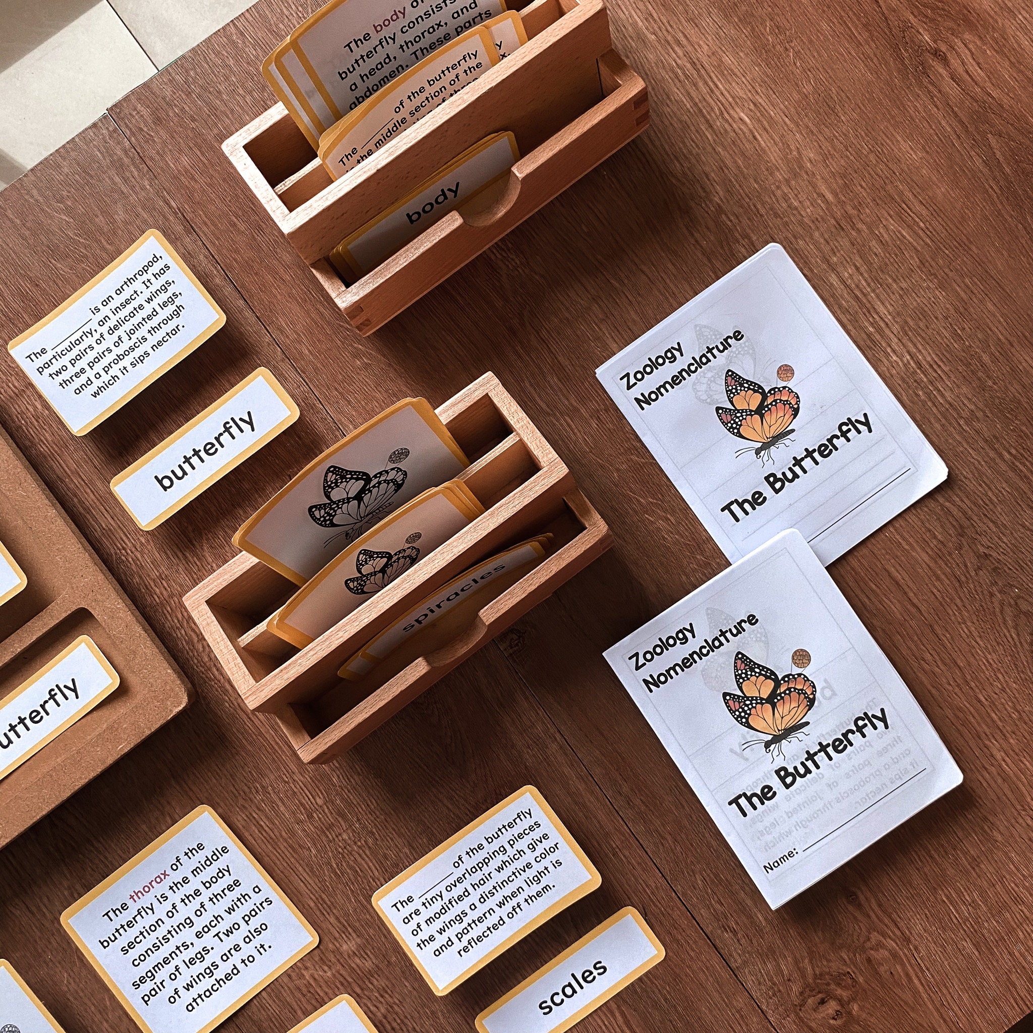 ARTHROPODS Zoology Unit Parts of Butterfly Montessori Nomenclature 5 ...