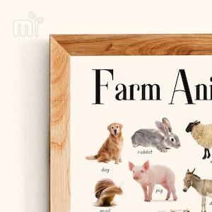 Educational Wall Art Montessori Chart Farm Animals Poster Home Decor ...