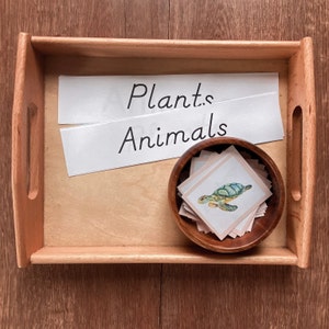 PLANT and ANIMAL Sorting Cards Game Montessori Activity Preschool ...
