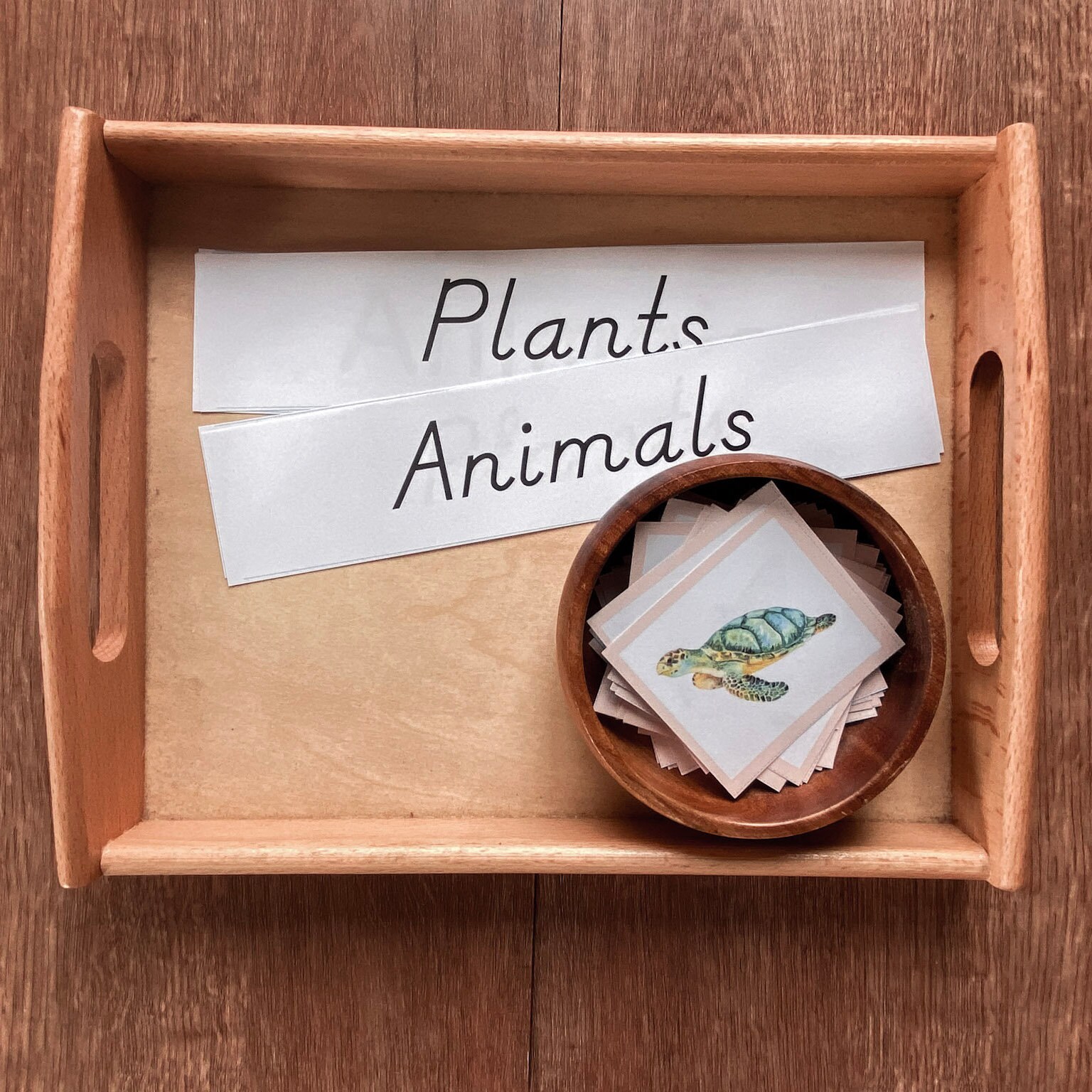 PLANT and ANIMAL Sorting Cards Game Montessori Activity Preschool ...