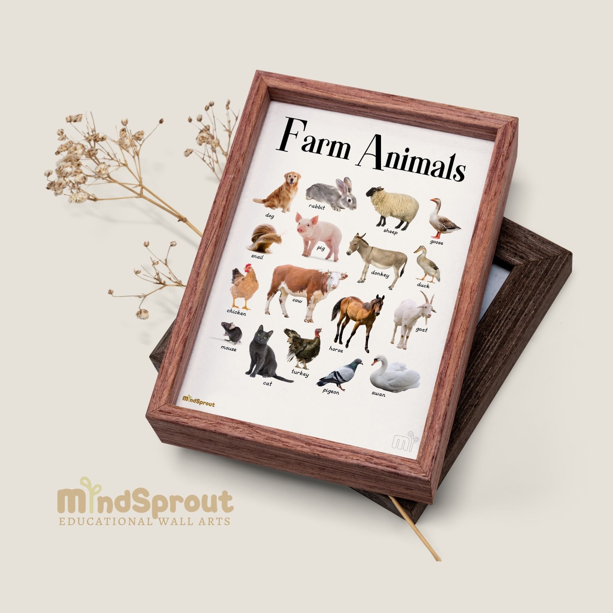 Educational Wall Art Montessori Chart Farm Animals Poster Home Decor ...