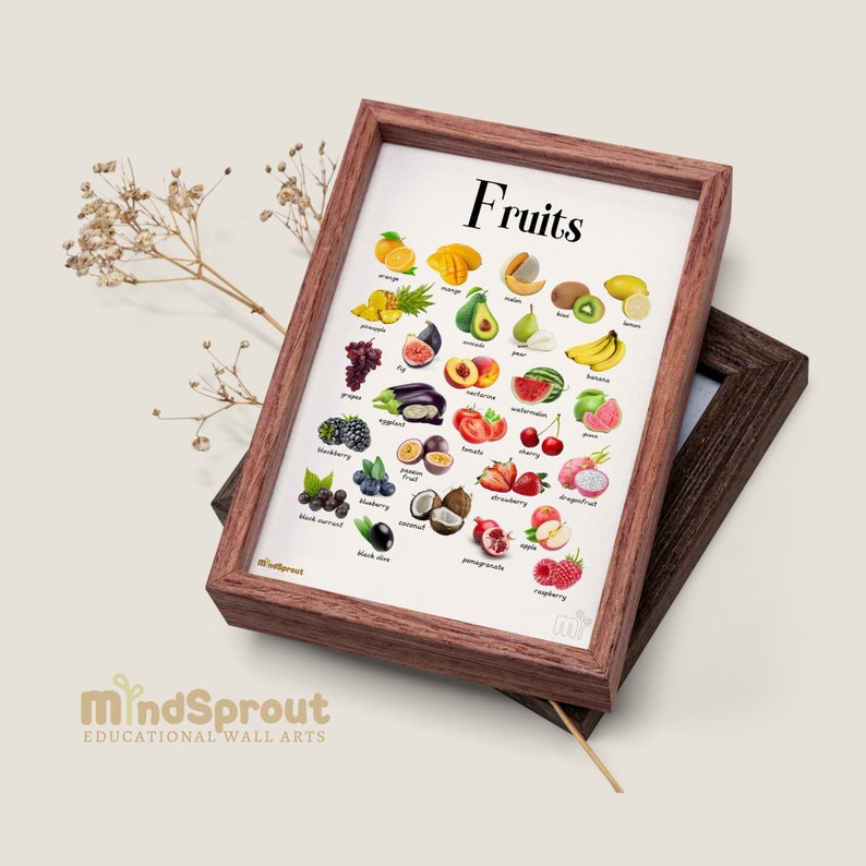 Educational Wall Art Montessori Chart Fruits Poster Home Decor for ...