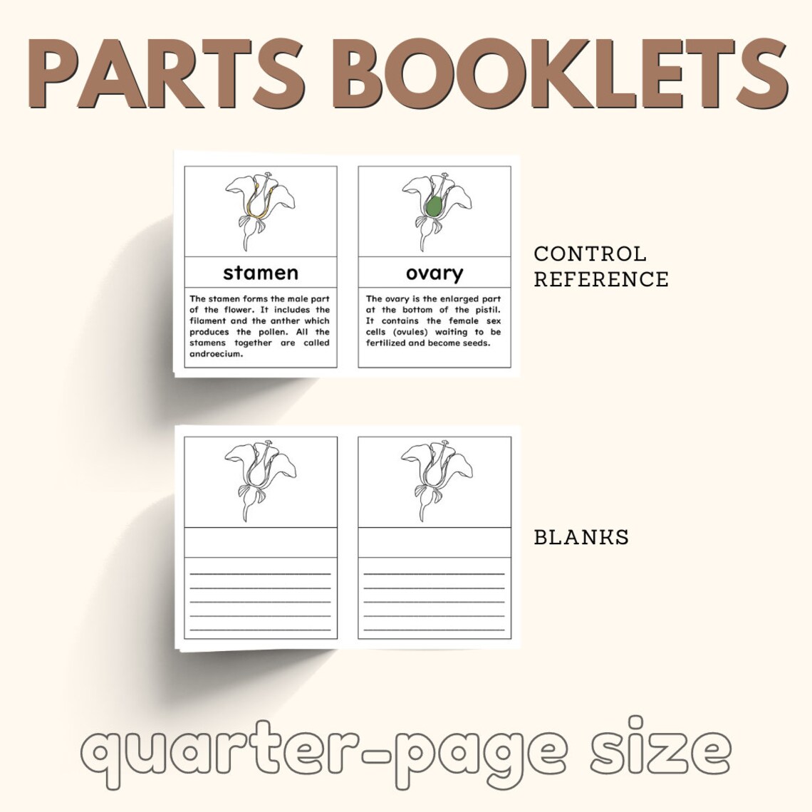 Parts of the FLOWER Montessori Botany Unit Study 5-part Card Definition ...