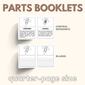 Parts of the FLOWER Montessori Botany Unit Study 5-part Card Definition ...
