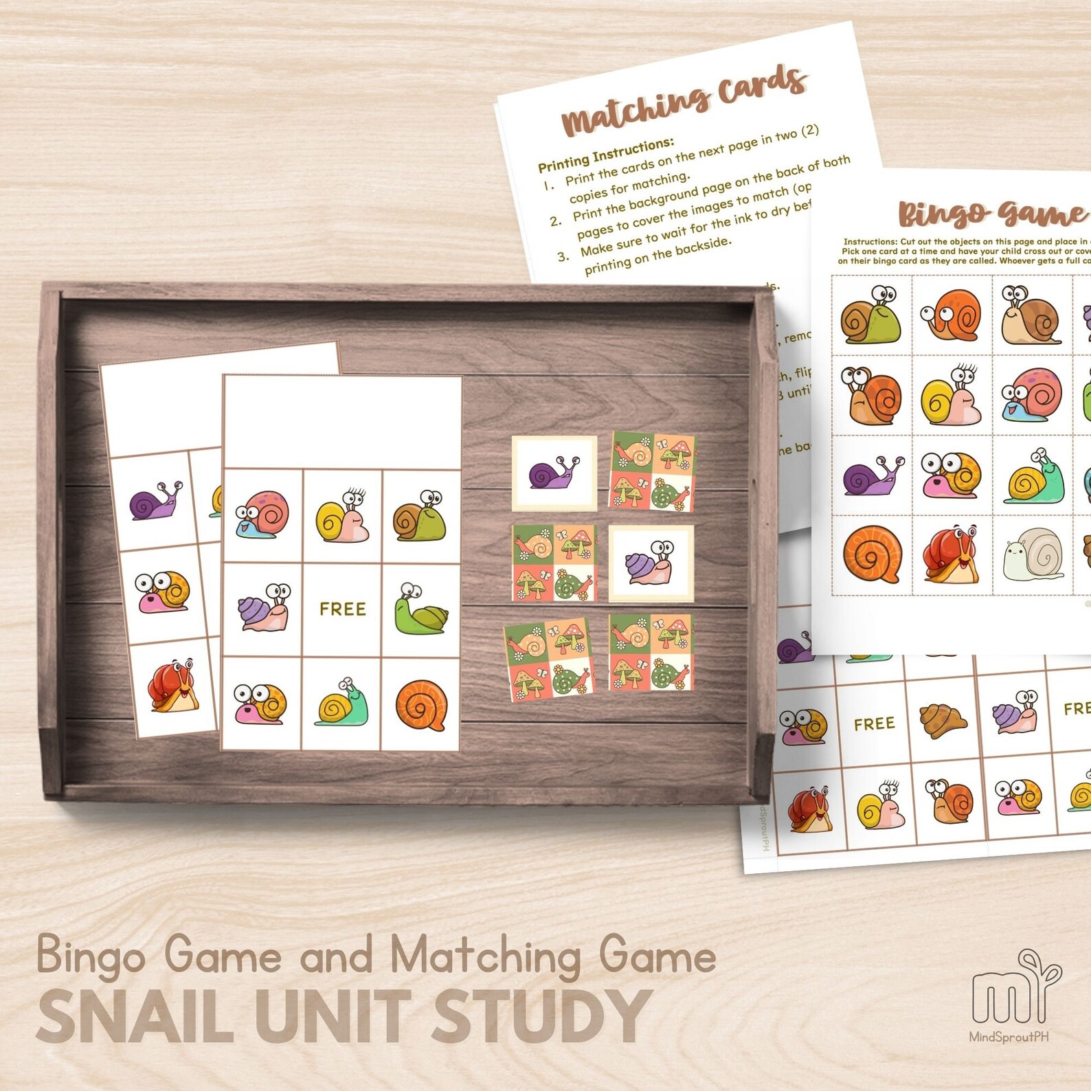 Snail Unit Study Preschool Activities Bundle Counting Clip Cards ...