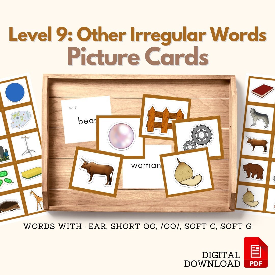 Montessori Language Picture Cards for Object Box Reading Level 9 BROWN ...