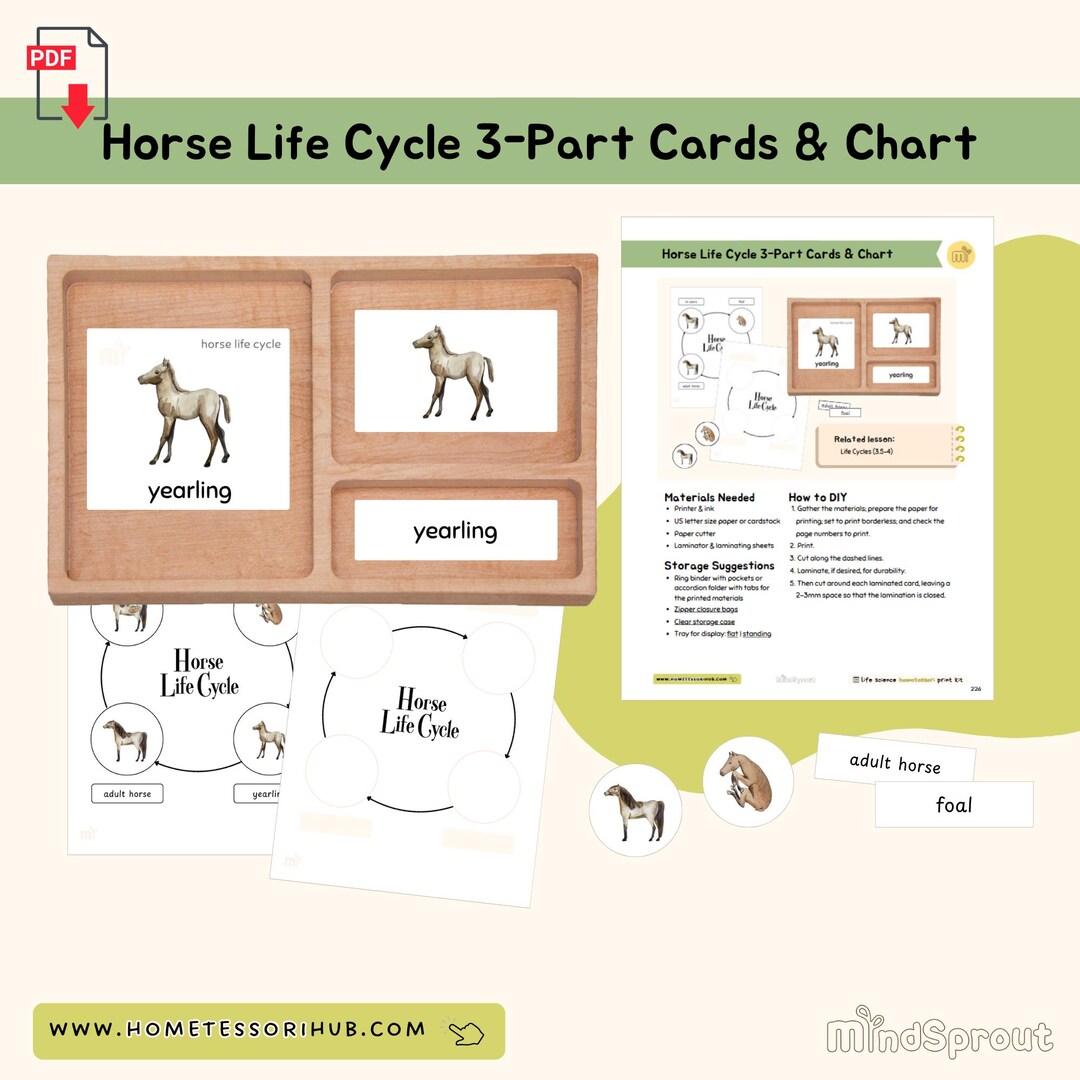 Horse Life Cycle 3-part Cards & Chart Zoology Montessori Printable ...