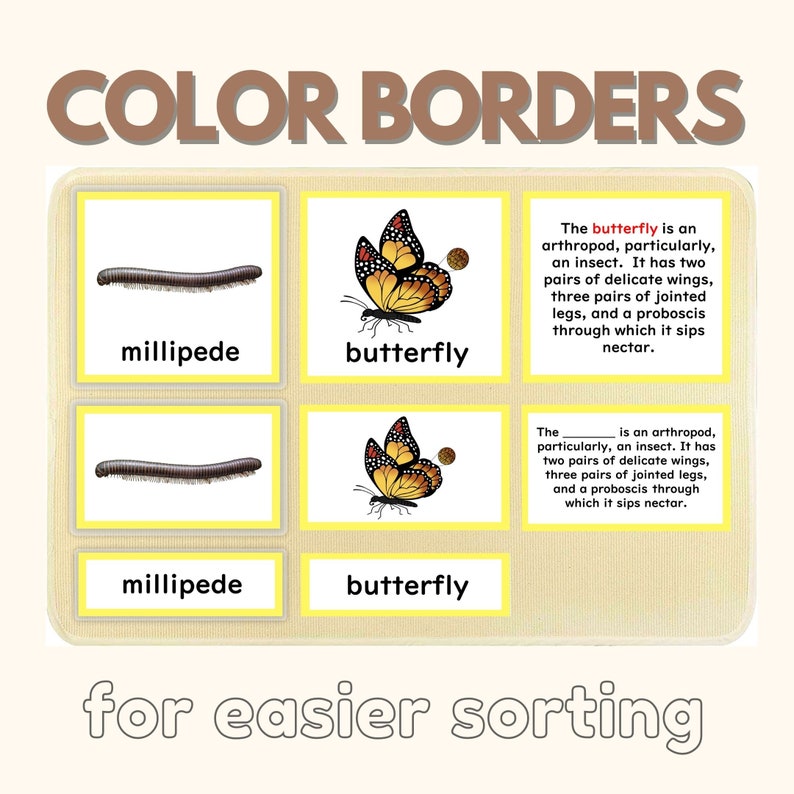 ARTHROPODS Three Part Card Montessori Nomenclature 3-part Classified ...