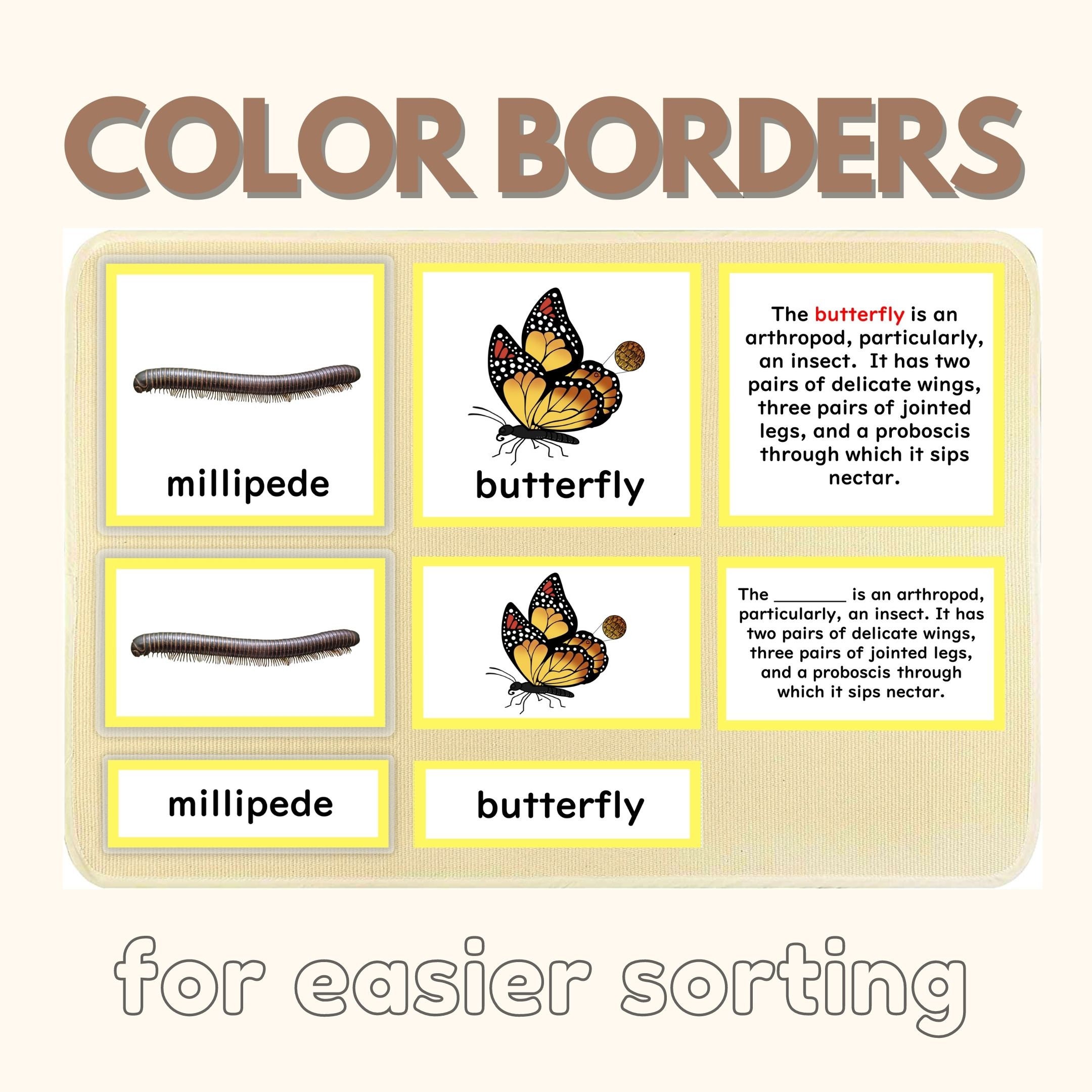ARTHROPODS Three Part Card Montessori Nomenclature 3-part Classified ...