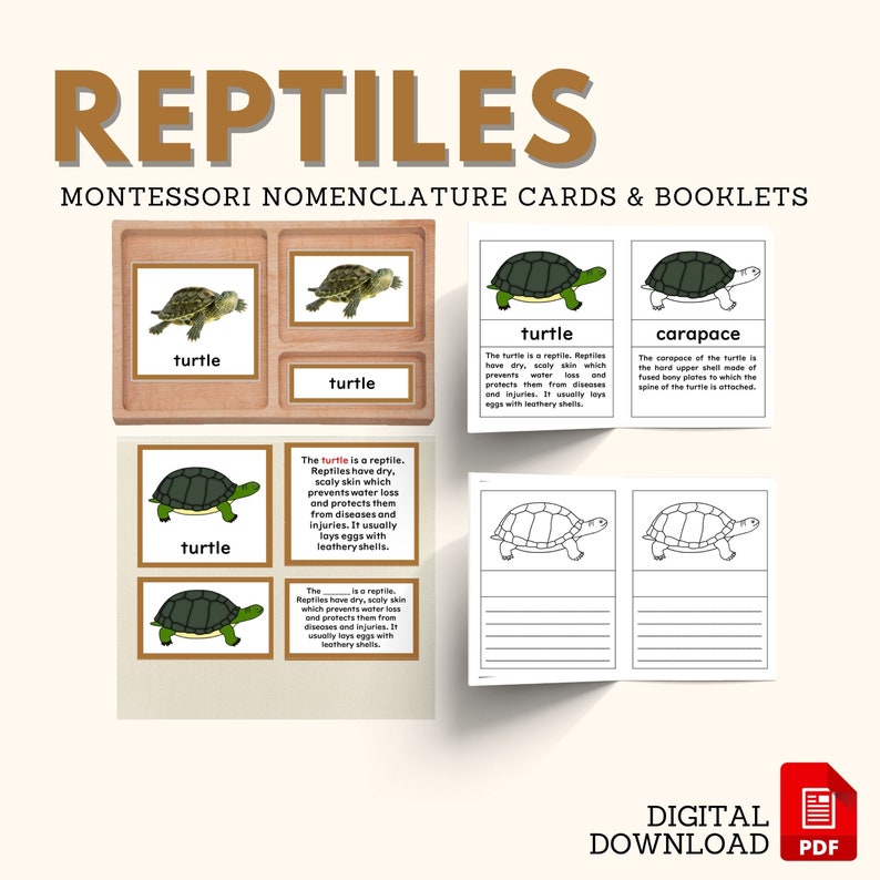 REPTILES Zoology Unit Study Parts Turtle Montessori Nomenclature 5-part ...