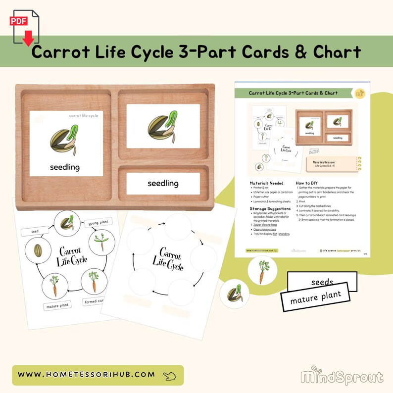 Carrot Life Cycle 3-part Cards and Chart Botany Montessori Printable ...