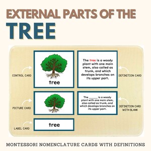 Parts of the TREE Montessori Botany Unit Study 5-part Card Definition ...