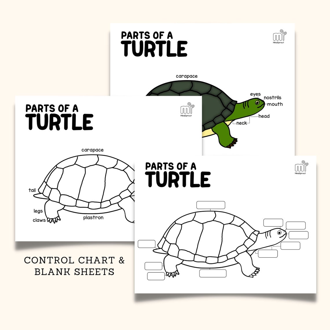 Montessori Zoology VERTEBRATES Montessori Control Chart Blackline ...