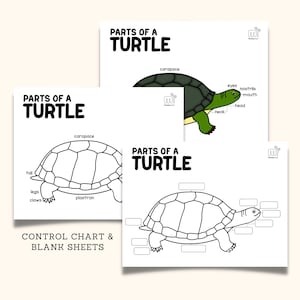 Montessori Zoology VERTEBRATES Montessori Control Chart Blackline ...