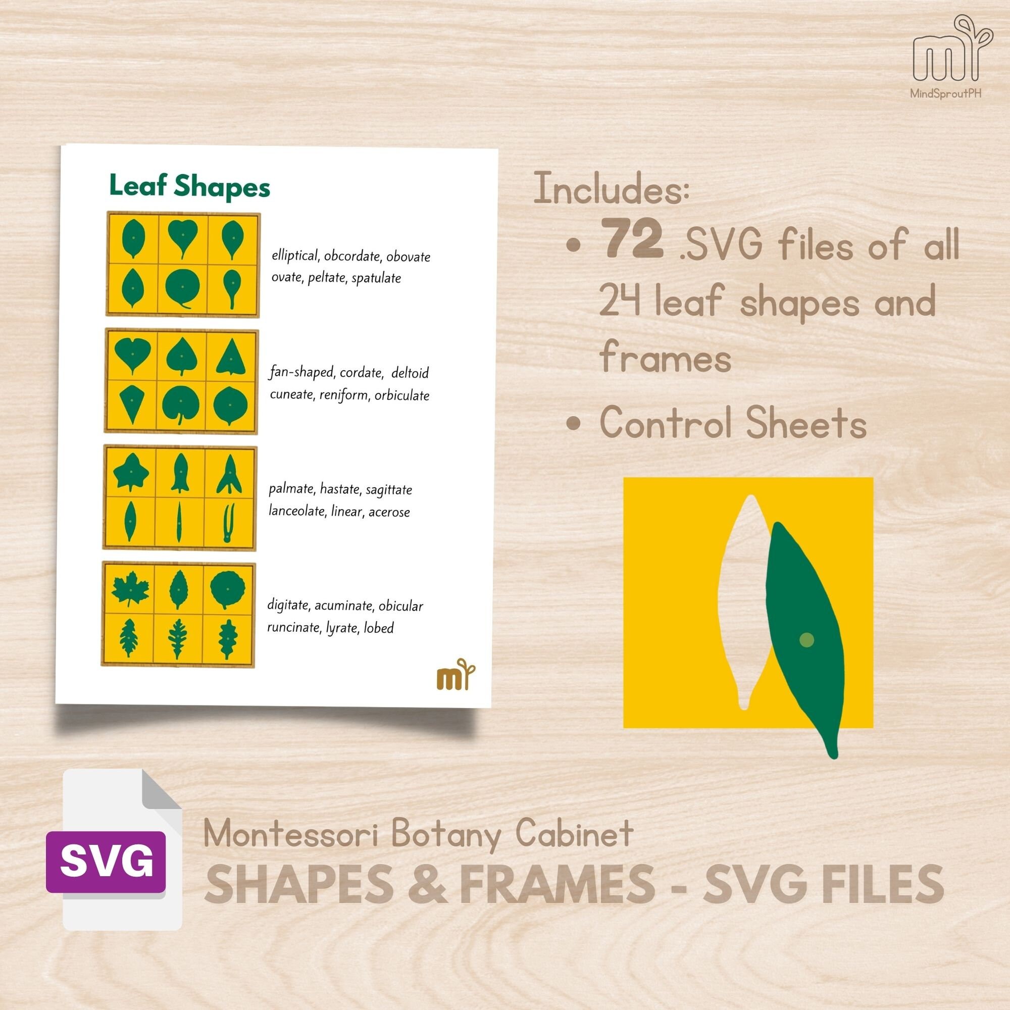 SVG Botany Cabinet Shapes Montessori Botany Puzzle Montessori Leaf ...
