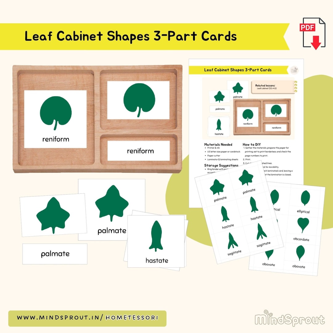 Botany Cabinet Shapes 3-part Cards Montessori Sensorial Language ...