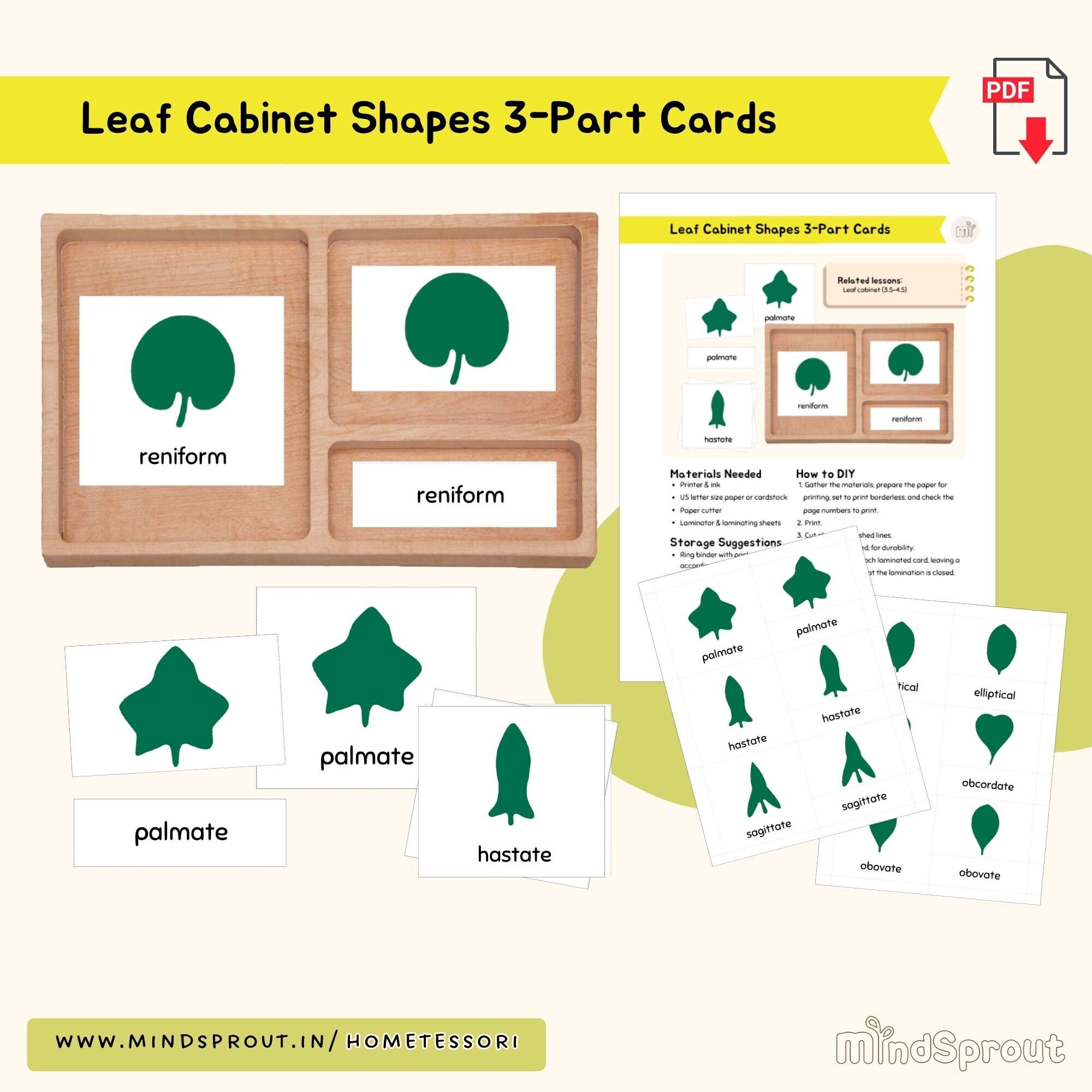 Botany Cabinet Shapes 3-part Cards Montessori Sensorial Language ...
