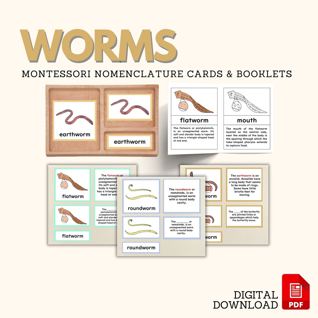 WORMS Zoology Unit Study Parts of Earthworm Flatworm Roundworm - Etsy
