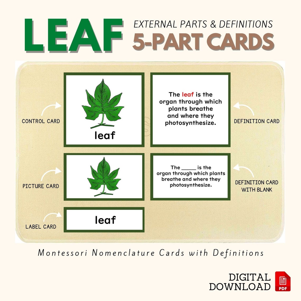 Parts of the LEAF Montessori Botany Unit Study 5-part Card Definition ...