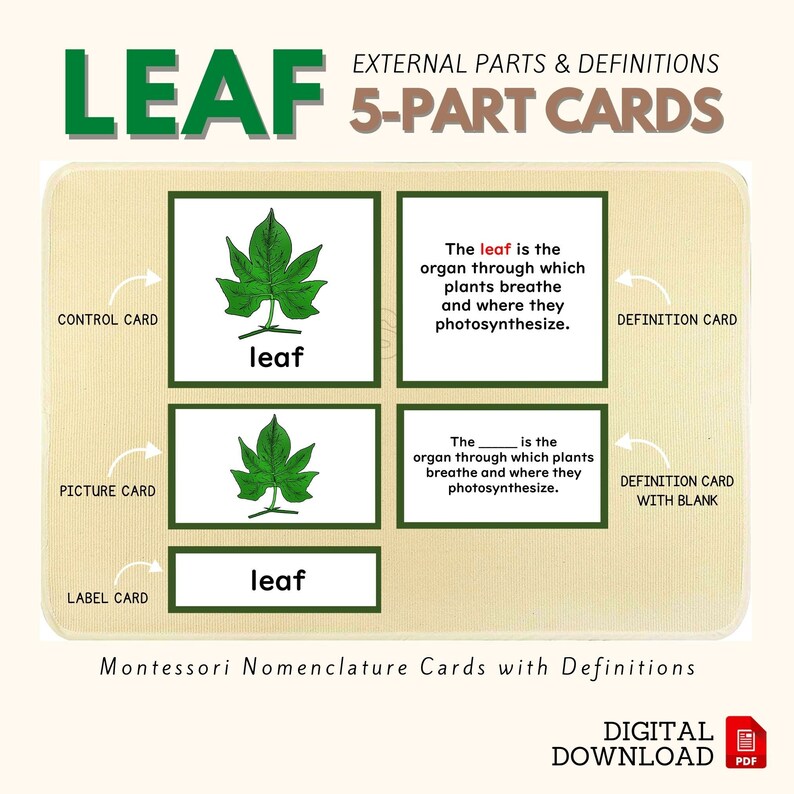 Parts of the LEAF Montessori Botany Unit Study 5-part Card Definition ...