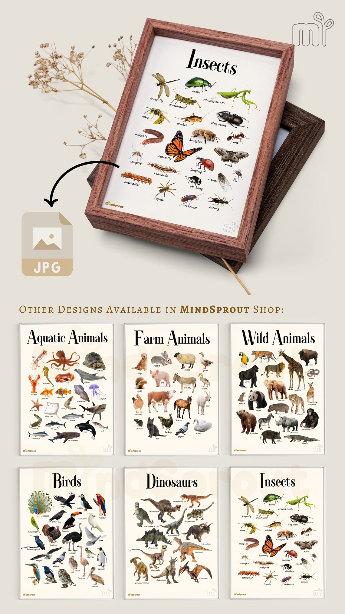Educational Wall Art Montessori Chart Insects Poster Home Decor for ...