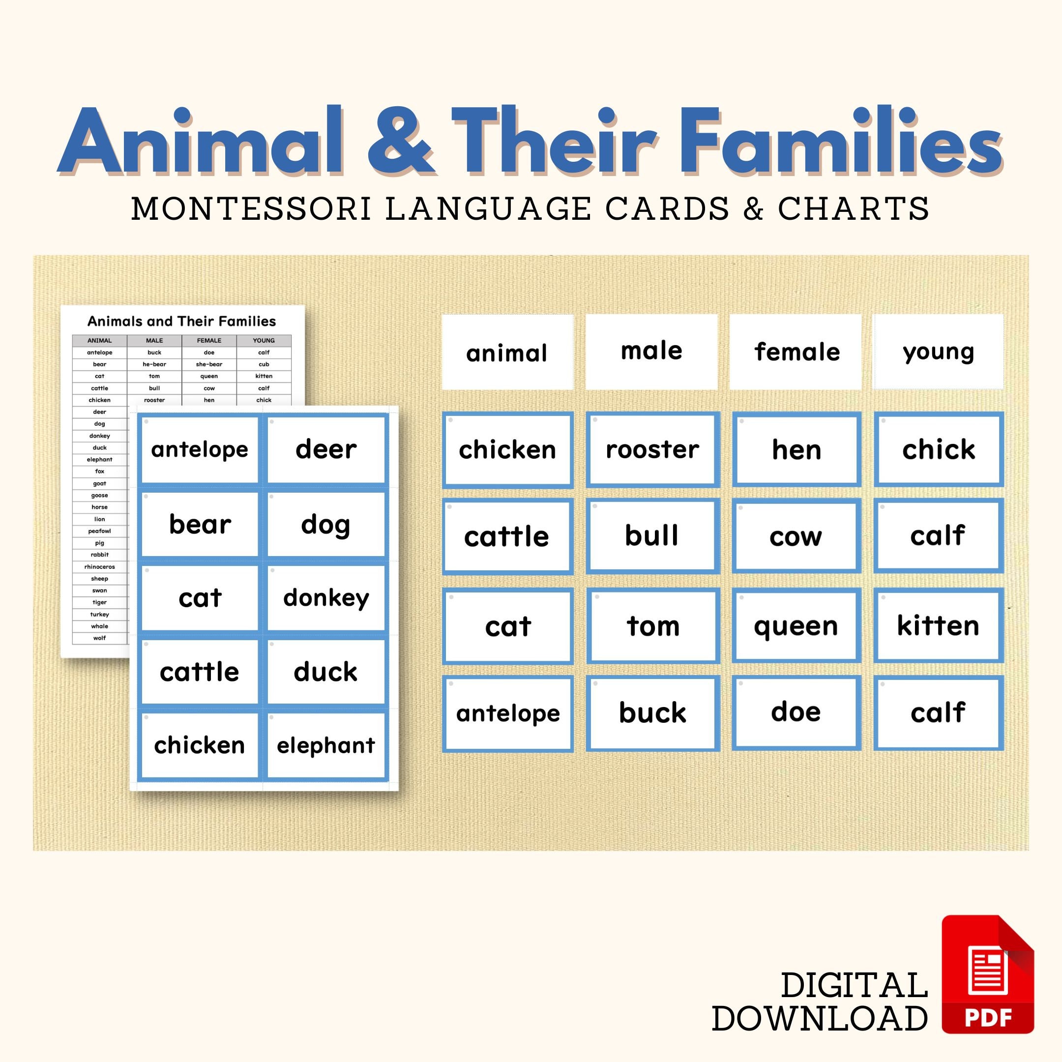 Montessori Vocabulary Cards Charts Teaching Resources