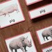 MAMMALS Three Part Cards Montessori Nomenclature 3-part Classified ...