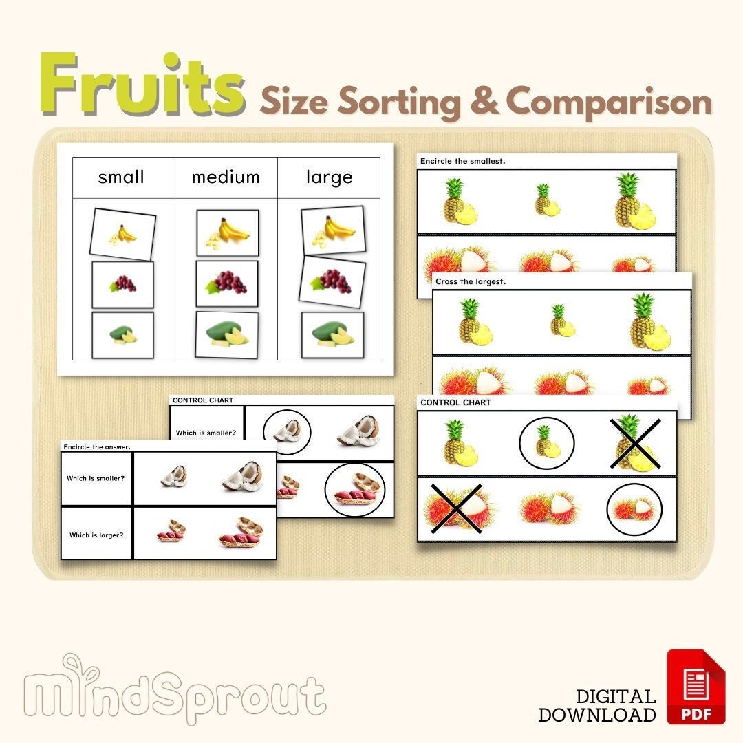 Comparing Small Medium Large Size Sorting Fruits Montessori Sensorial ...