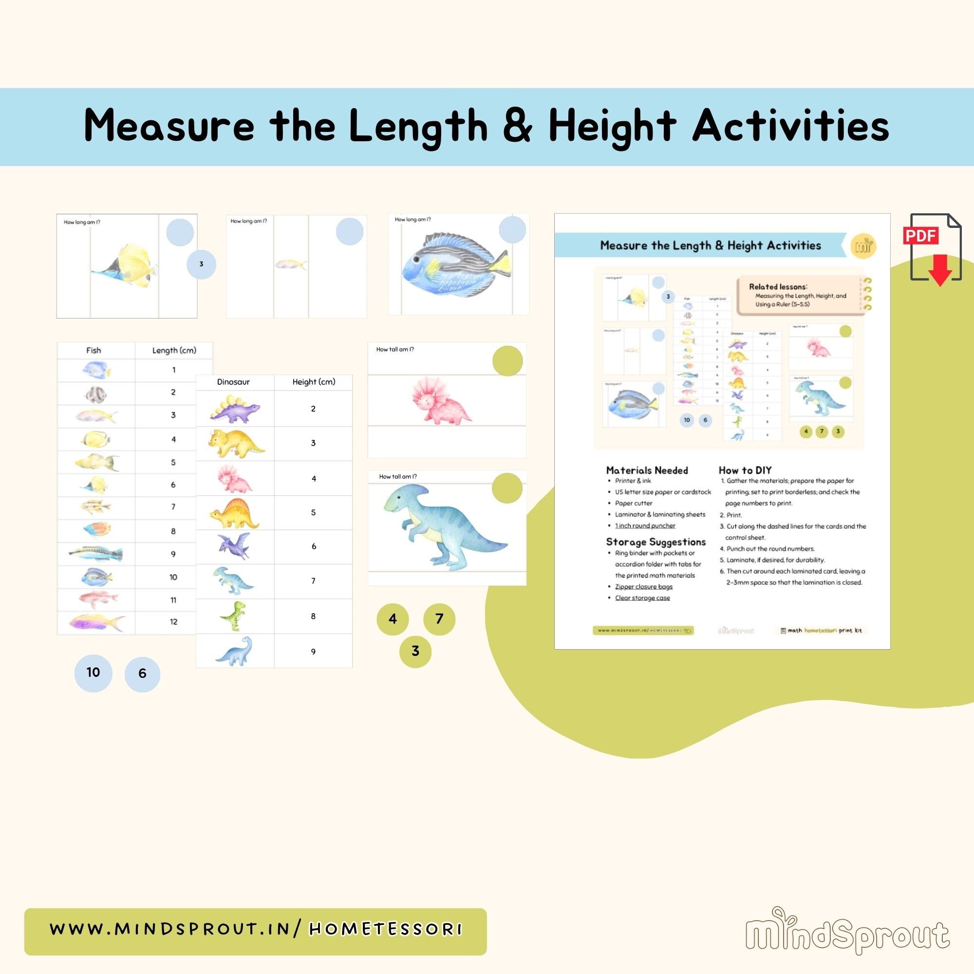Using a Ruler Measurement Exercise Cards Montessori Material Math ...