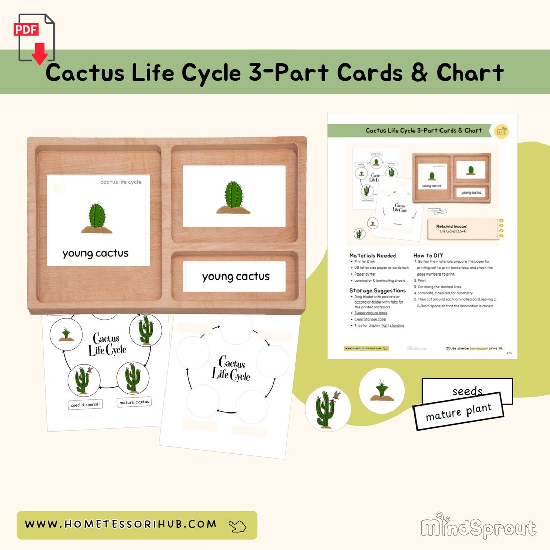 Cactus Life Cycle 3-part Cards and Chart Botany Montessori Printable ...
