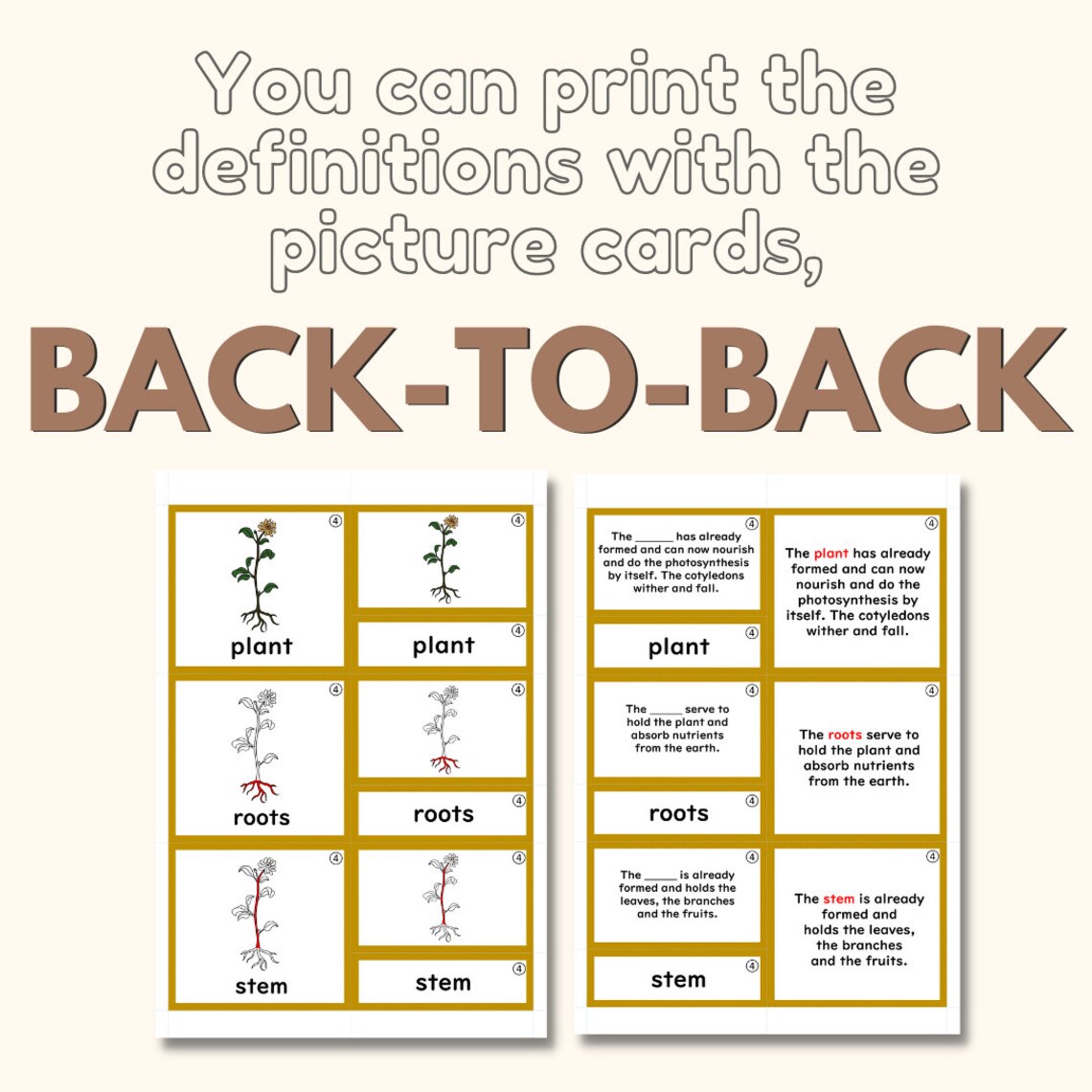 Plant LIFE CYCLE Part of Plant Montessori Botany Unit Study 5-part Card ...