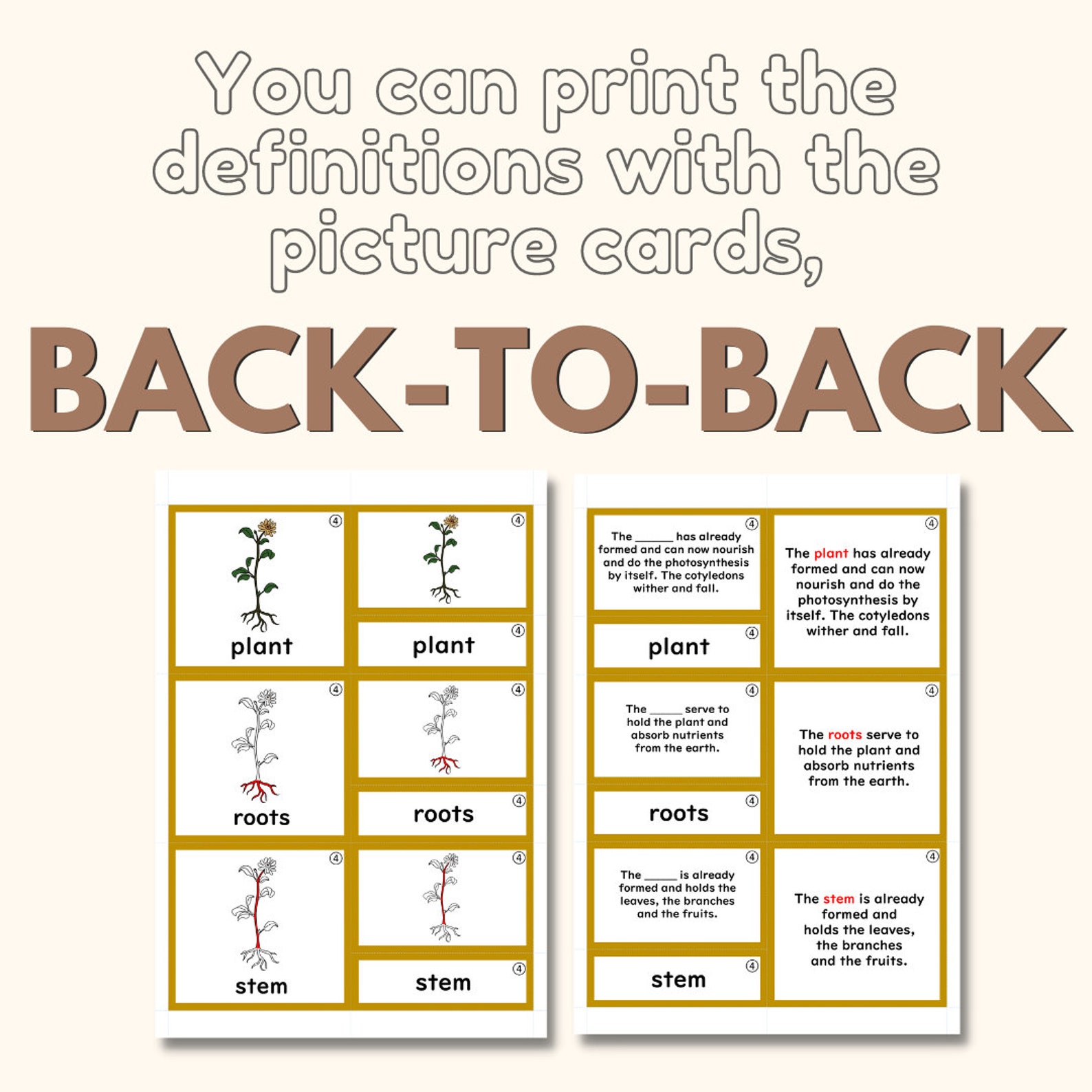Plant LIFE CYCLE Part of Plant Montessori Botany Unit Study 5-part Card ...