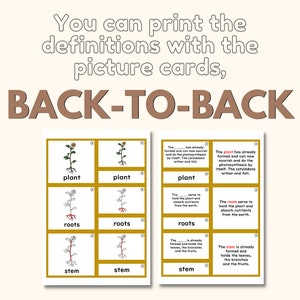Plant LIFE CYCLE Part of Plant Montessori Botany Unit Study 5-part Card ...