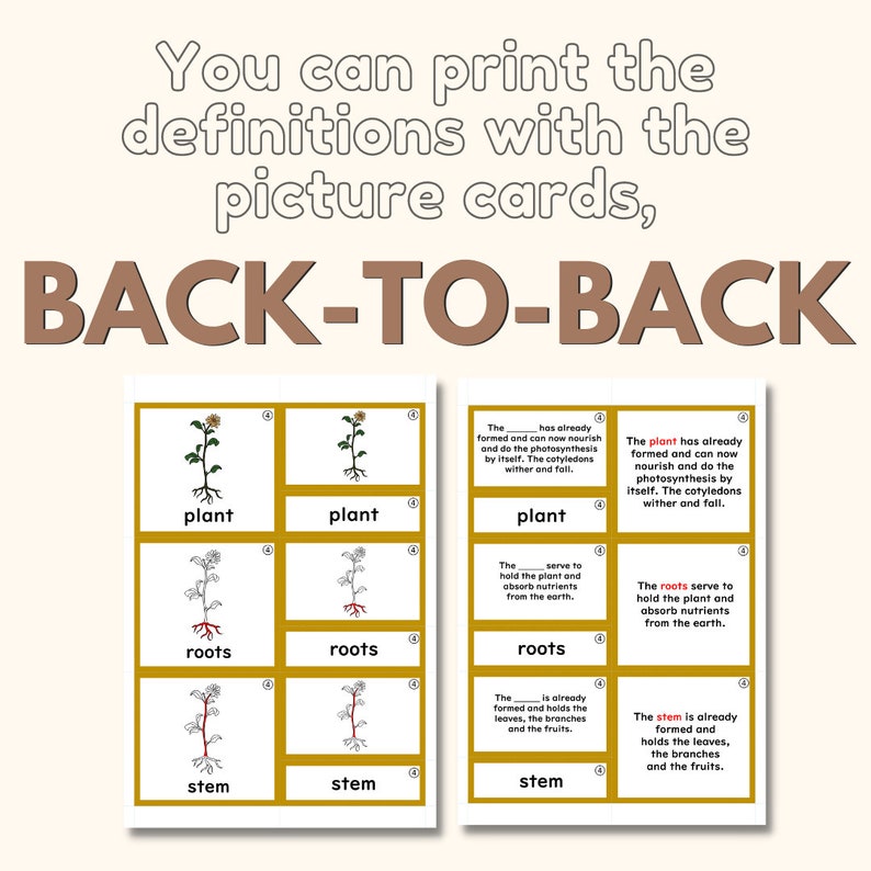 Plant LIFE CYCLE Part of Plant Montessori Botany Unit Study 5-part Card ...