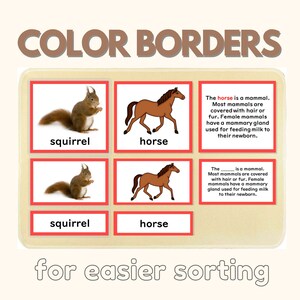 MAMMALS Three Part Cards Montessori Nomenclature 3-part Classified ...