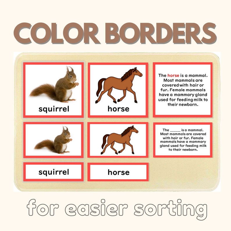 MAMMALS Three Part Cards Montessori Nomenclature 3-part Classified ...