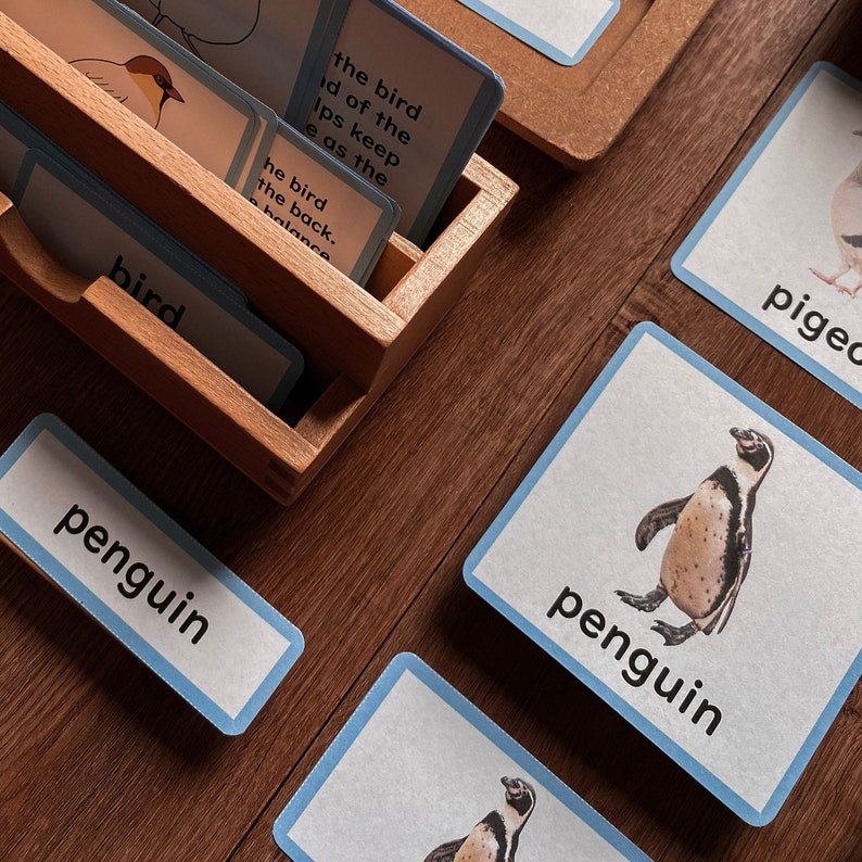 BIRDS Three Part Cards Montessori Nomenclature 3-part Classified Cards ...