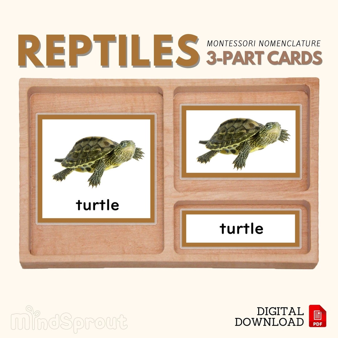 REPTILES Three Part Cards Montessori Nomenclature 3-part - Etsy