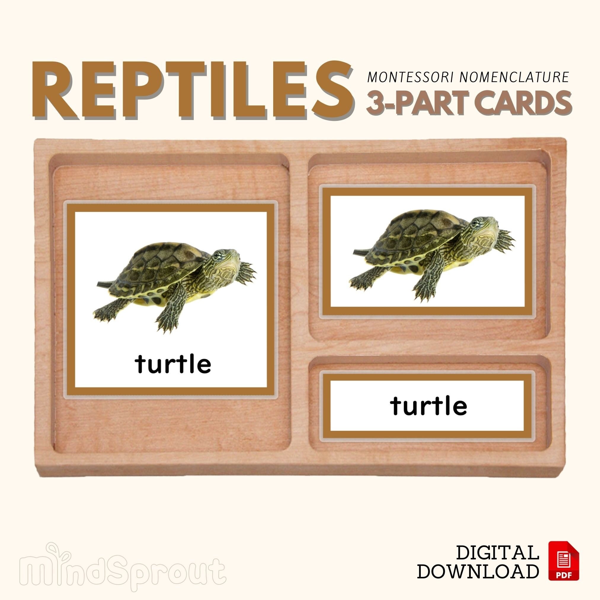 REPTILES Three Part Cards Montessori Nomenclature 3-part Classified ...