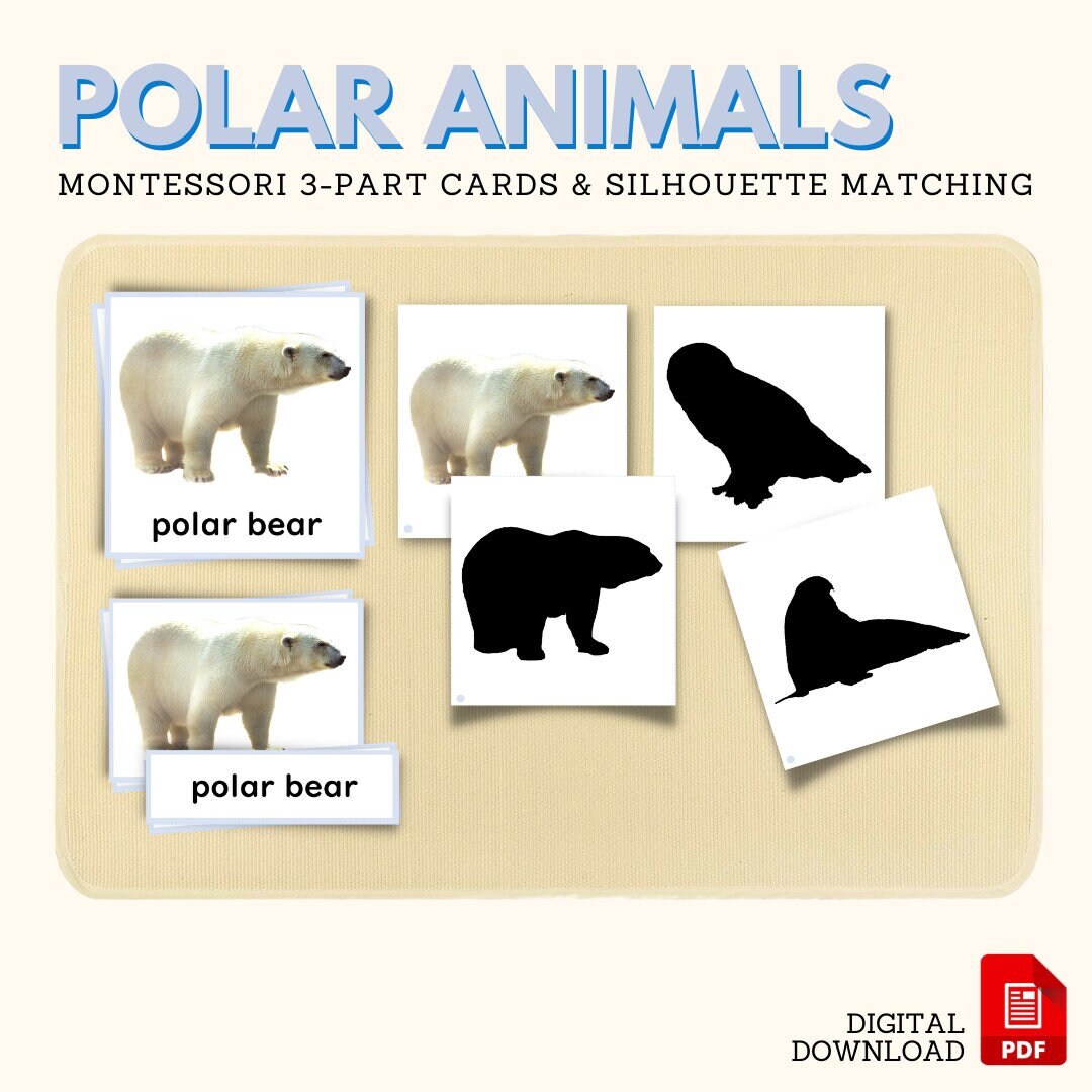 POLAR ANIMALS Montessori Nomenclature 3 Part Cards Shadow Matching Card ...