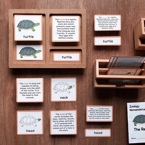 REPTILES Zoology Unit Study Parts Turtle Montessori Nomenclature 5-part ...