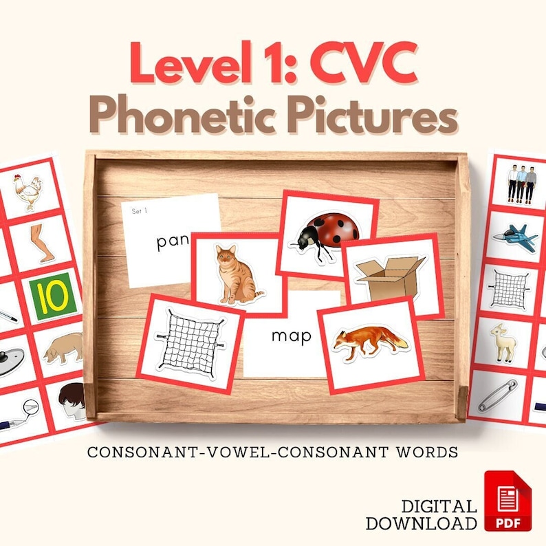 Montessori Language CVC Words Phonetic Reading Level 1 RED Picture ...