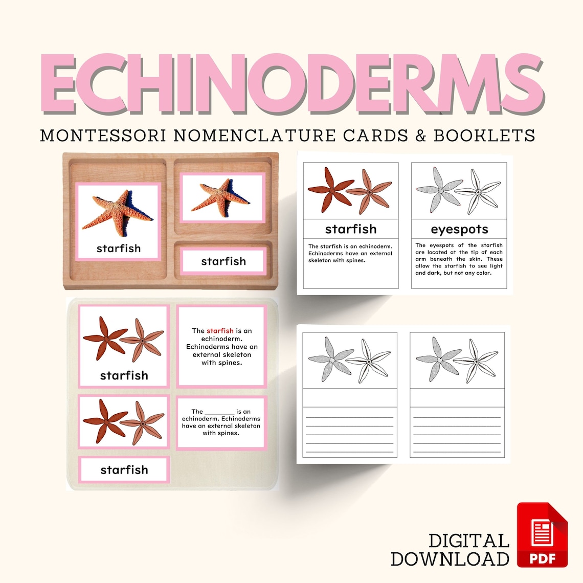 INVERTEBRATES Montessori Zoology Unit Study Montessori Nomenclature 5 ...