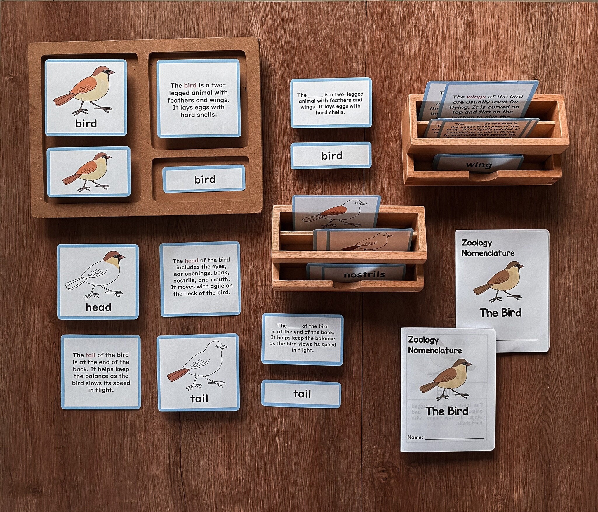 BIRDS Zoology Unit Study Parts of Birds Montessori - Etsy