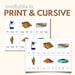 CONSONANT BLENDS Beginning & Ending Sound Montessori Language Blue ...