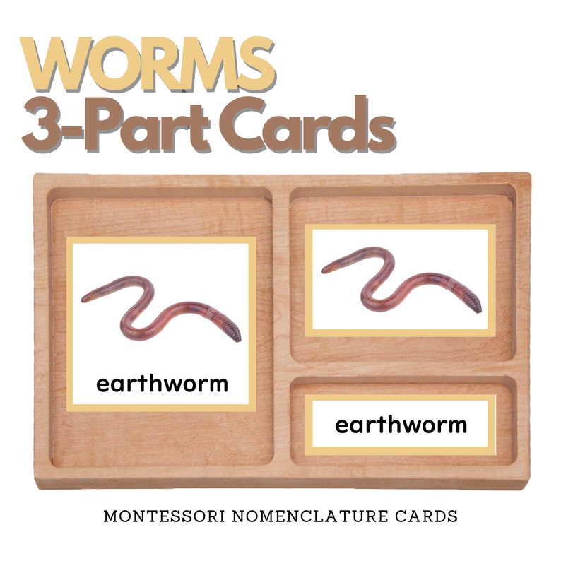 WORMS Zoology Unit Study Parts of Earthworm Flatworm Roundworm - Etsy