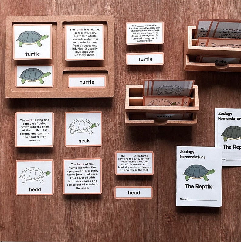 REPTILES Zoology Unit Study Parts Turtle Montessori Nomenclature 5-part ...